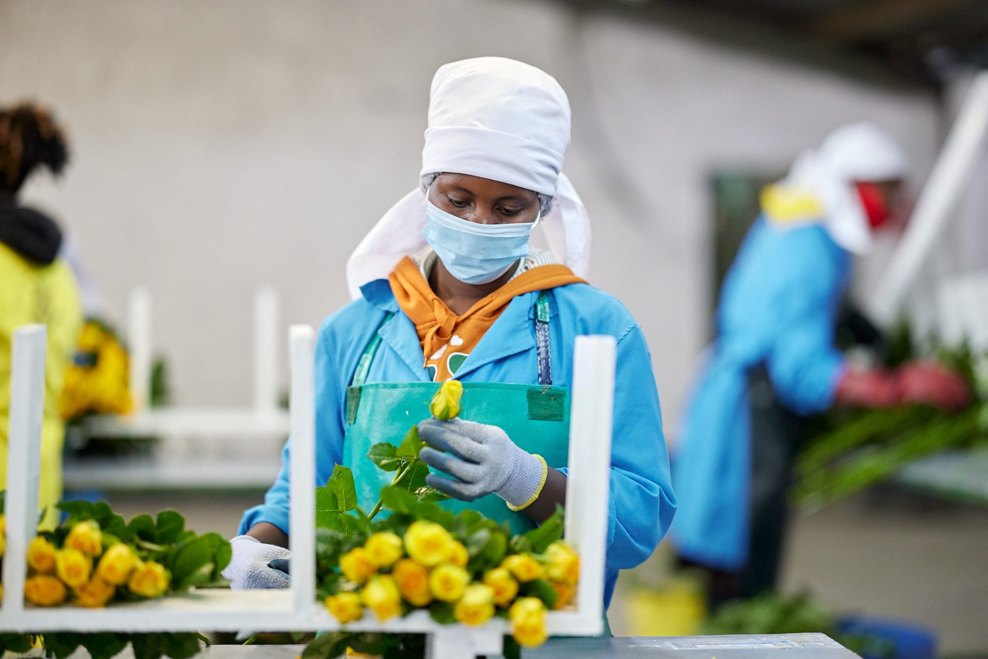 Putting women at the centre of the conversation - Women Win