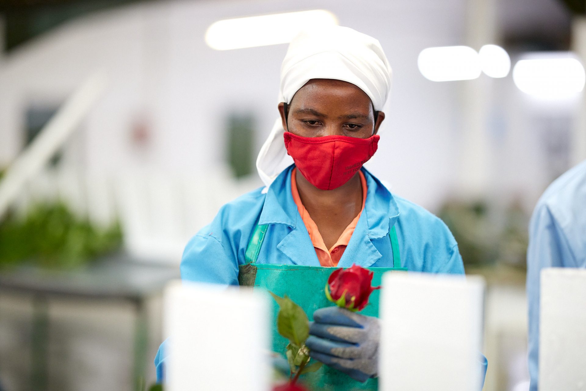 How Dutch companies can address gender equality in supply chains ...